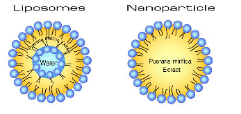 Liposome, Nanopartikel & Co. - derma.cos